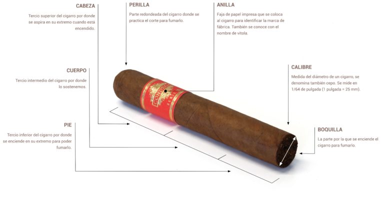 CIGARRO PARTES 02 - La Casa del Tabaco